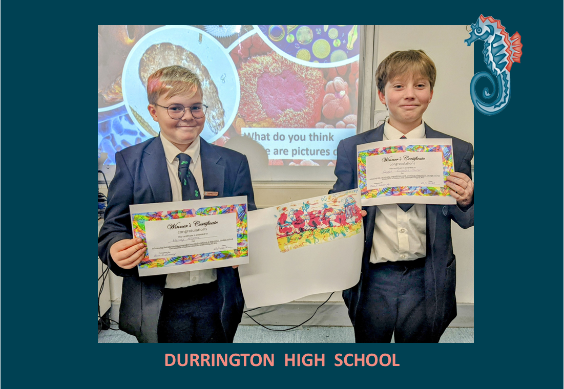 DHS Fortnightly update - 25th November 2022 - Durrington High School