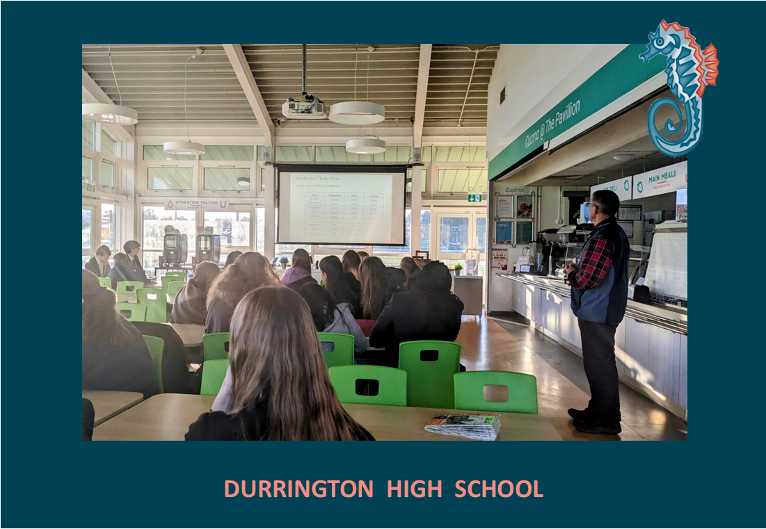 DHS Fortnightly update - 27th January 2023 - Durrington High School