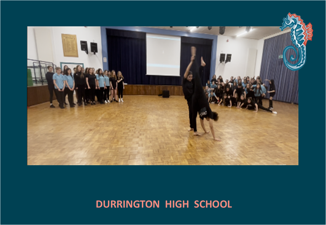 DHS Fortnightly update – 10th February 2023 - Durrington High School