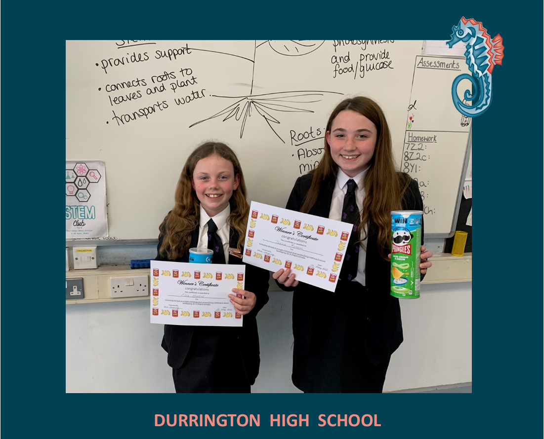Year 7 science club ‘Pringle Package’ challenge - Durrington High School